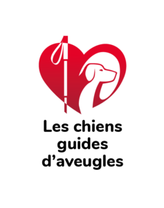 Le Chien Guide, le compagnon des malvoyants - Chiens Guides de l'Ouest