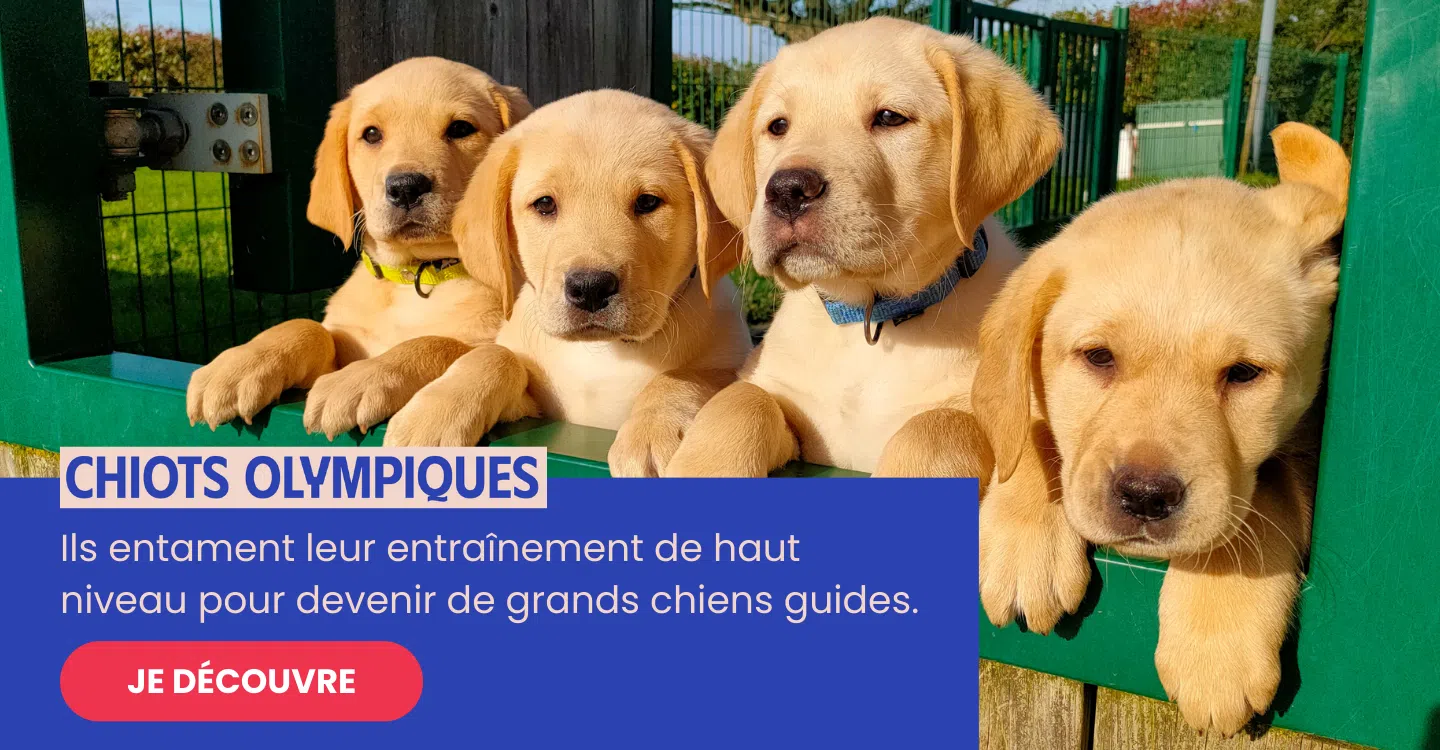 Chiens Guides de l'Ouest - Association de Chiens d'Aveugles